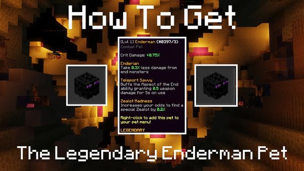 Enderman Pet in Hypixel Skyblock Minecraft - Everything to Know