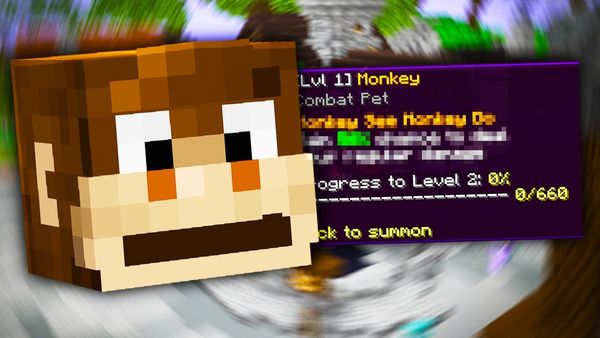 Monkey Pet in Hypixel Skyblock Minecraft - Everything You Need to Know